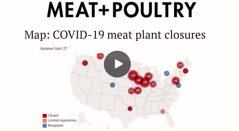 American Farmers Being Ordered To Depopulate Livestock And Destroy ...